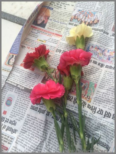 HOW TO GROW CARNATION PLANT FROM FLOWER STICKS – GARDENING FOR BEGINNERS