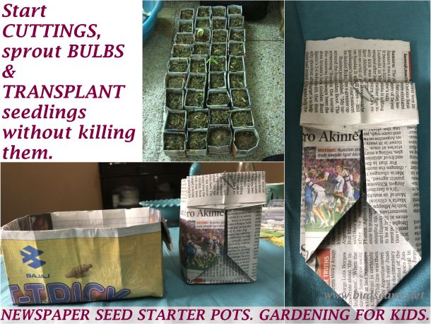newspaper-seed-starter-pots-kids-gardening – GARDENING FOR BEGINNERS
